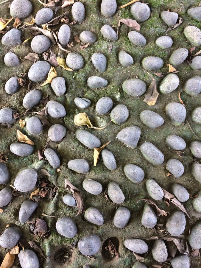 Nature pattern background. stock photo. Image of harmony - 254605502