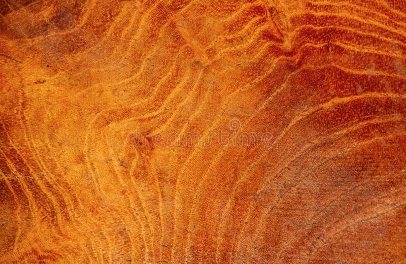 Nature Pattern of Teak Wood Texture for Background Stock Photo - Image ...