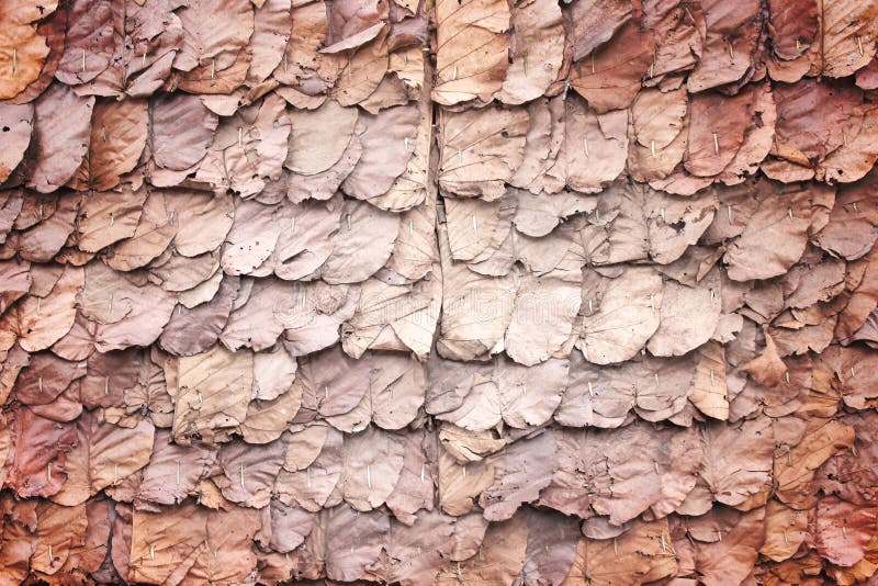 Nature Patterns of Dried Leaves on Wall Background Stock Image - Image ...