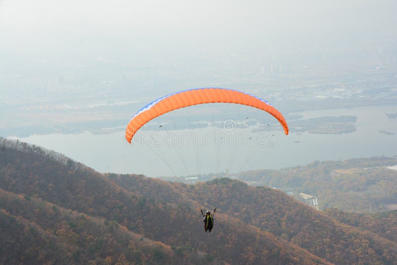 Nature stock photo. Image of tree, parachute, people - 81585120