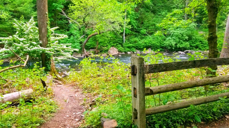 Nature stock image. Image of philly, trails, philadelphia - 146964463