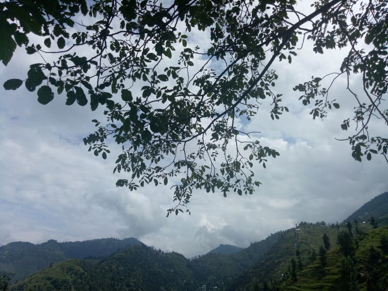 Senery Stock Images - Download 580 Royalty Free Photos