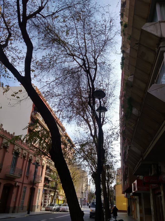 Nature photo stock image. Image of winter, plant, buildings - 83616795