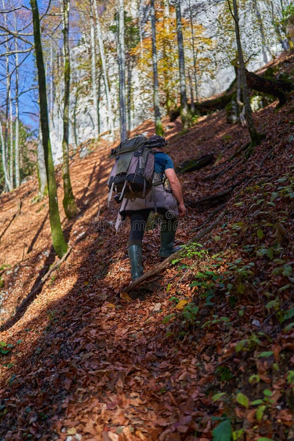 Nature Photographer Hiking with Backpack Stock Image - Image of ...