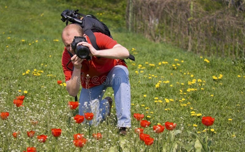 Nature Photographer at Work Stock Image - Image of green, adult: 19410049
