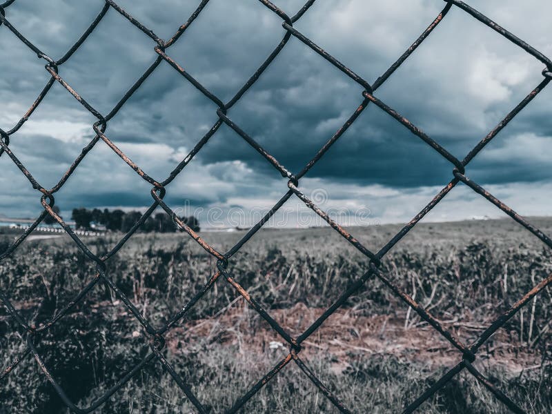Nature Photography, Fence, Net, Sky, Forest Stock Photo - Image of ...
