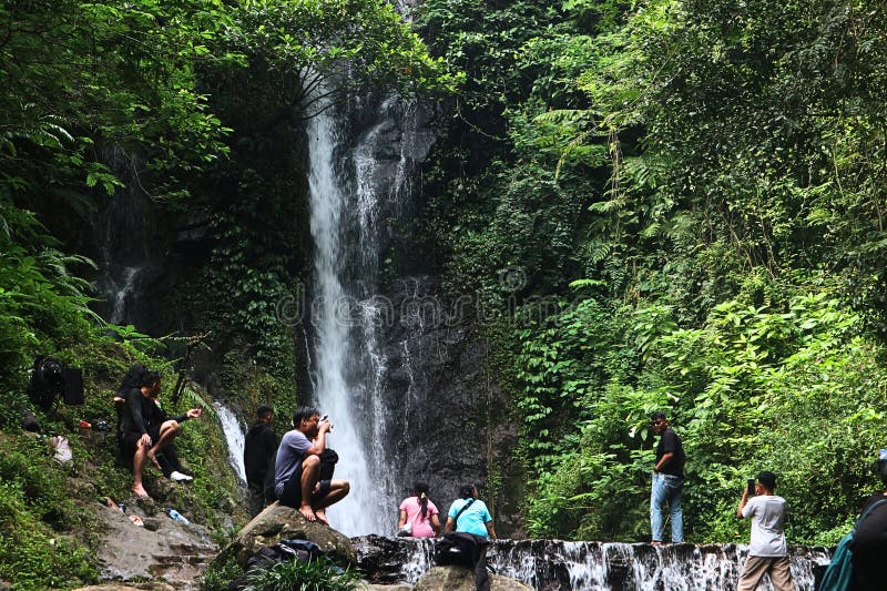 Waterfall at Tropical Rainforest in Java Editorial Stock Photo - Image ...
