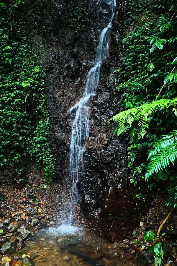 Waterfall at Tropical Rainforest in Java Stock Image - Image of ...