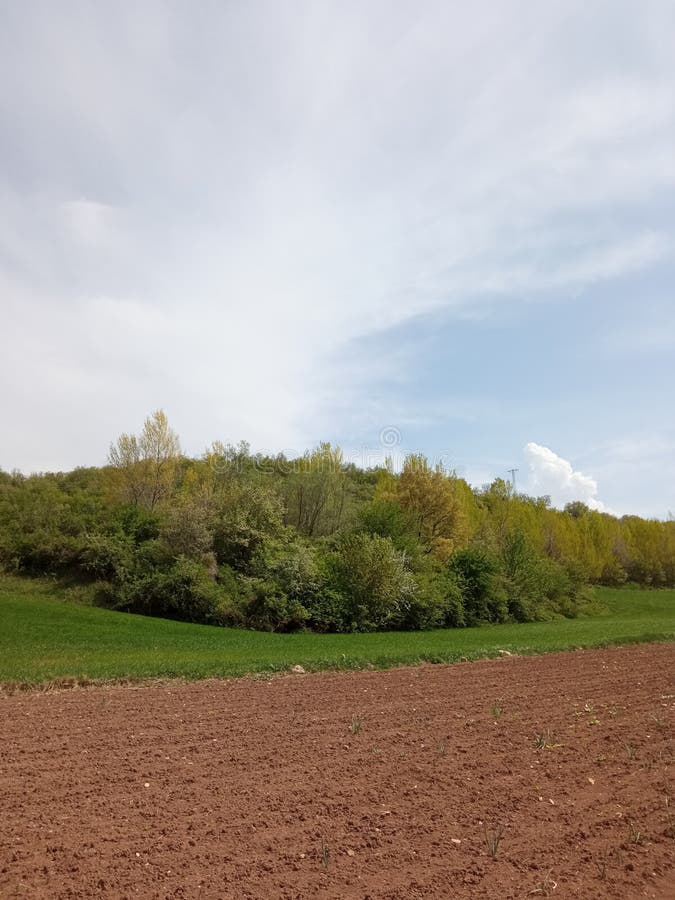 Nature Photos and Trees and Fields Stock Image - Image of garden, field ...