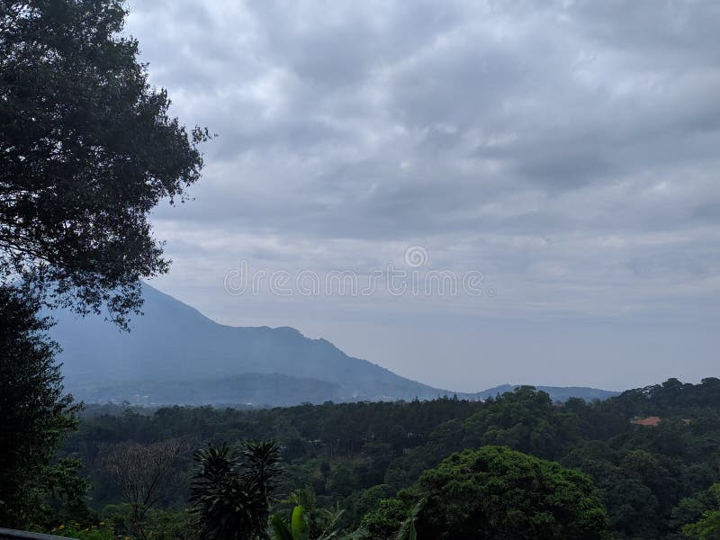 Nature stock photo. Image of java, penanggungan, mountain - 202633988