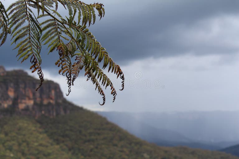 Nature stock photo. Image of light, accomplishments, memorial - 40912366