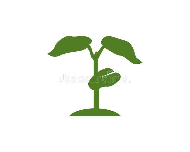 Nature Plant Organic Icon and Symbol Vector Illustration Stock Vector ...