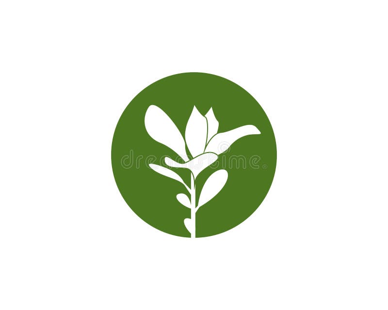 Nature Plant Organic Icon and Symbol Vector Illustration Stock Vector ...