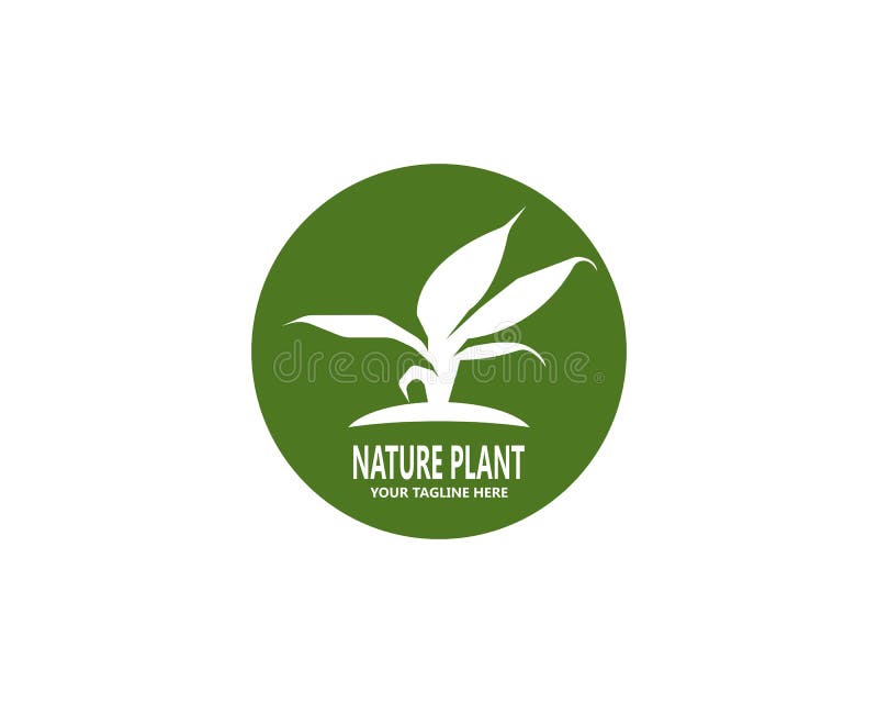 Nature Plant Organic Icon and Symbol Vector Illustration Stock Vector ...