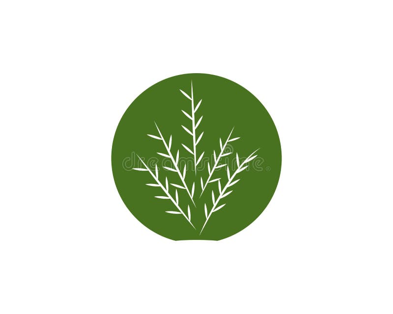 Nature Plant Organic Icon and Symbol Vector Illustration Stock Vector ...