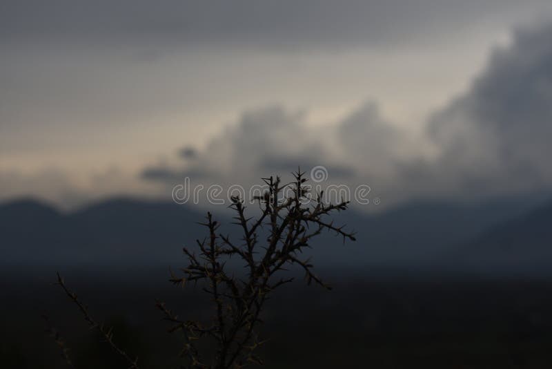 Nature stock image. Image of nature, speed, shutter - 112217251