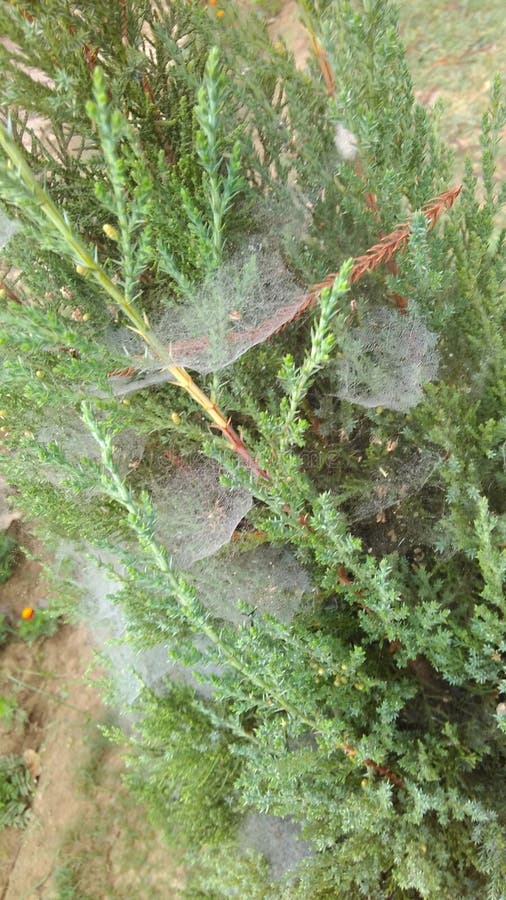 Bbbhhhh Stock Photos - Free & Royalty-Free Stock Photos from Dreamstime