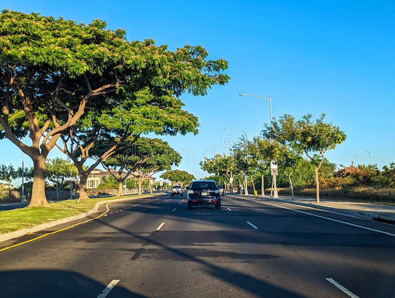 Nature and Plants in Park Around Waikiki Hawaii Stock Photo - Image of ...