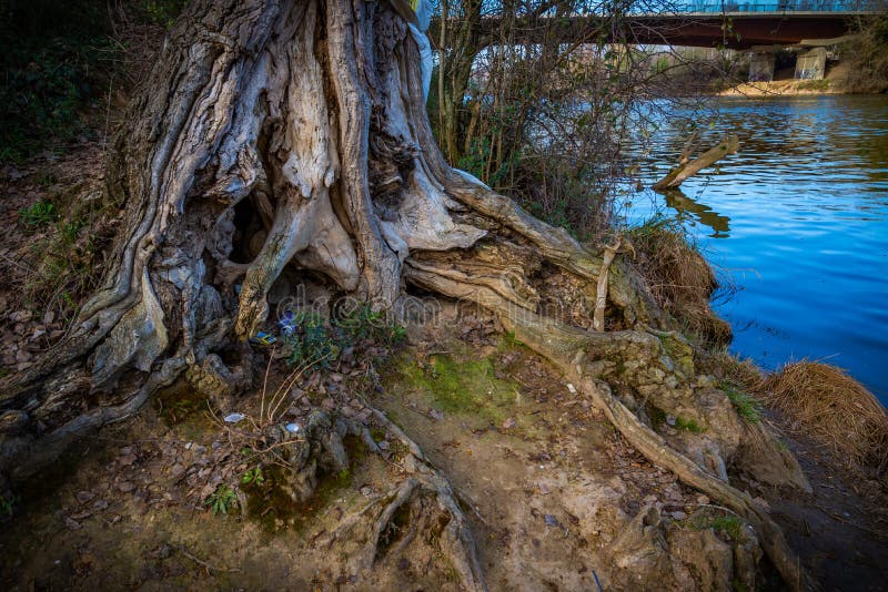 Rivera Del Rio with Spanish Vegetation Stock Photo - Image of fall ...