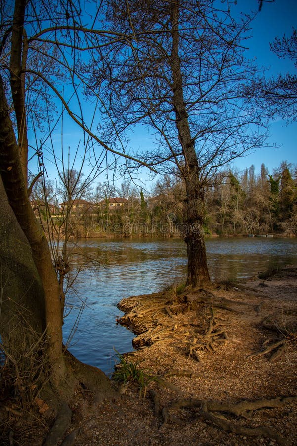 Rivera Del Rio with Spanish Vegetation Stock Image - Image of catarrh ...