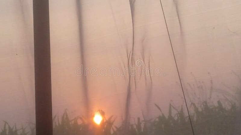 Sun stock photo. Image of nature, evening - 132505278