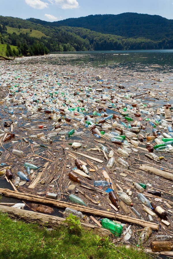 Nature pollution stock image. Image of polluted, lake - 20978335