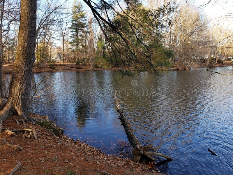 Nature by the Pond stock image. Image of ripples, hiking - 175861495