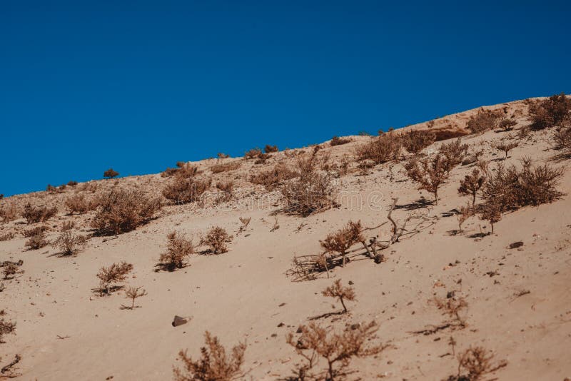 Nature Poster. Desert Landscape Stock Photo - Image of island, space ...