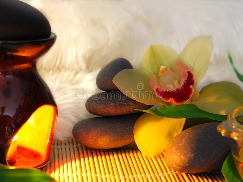 Nature power stock image. Image of insect, natural, herbal - 25414501