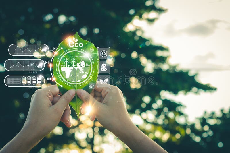 Nature Power Solar Power Renewable. Concept Saving Energy in Nature ...