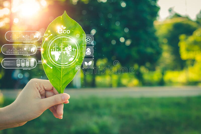 Nature Power Solar Power Renewable. Concept Saving Energy in Nature ...