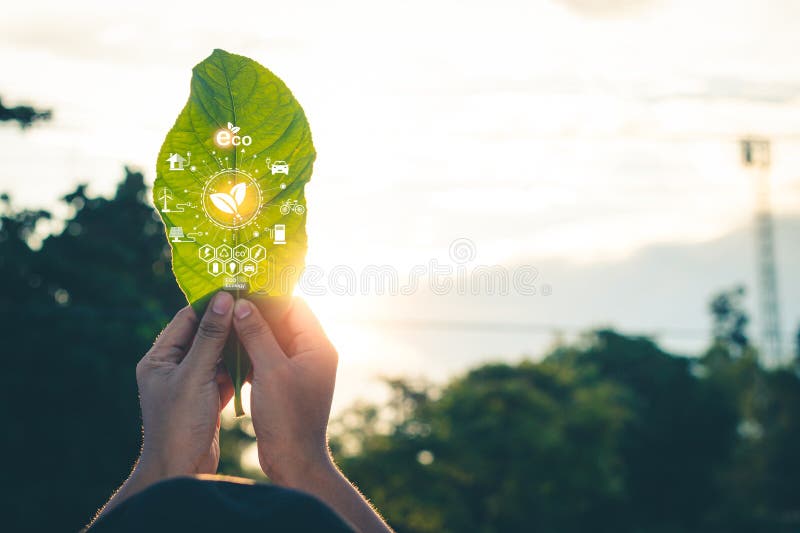 Nature Power Solar Power Renewable. Concept Saving Energy in Nature ...