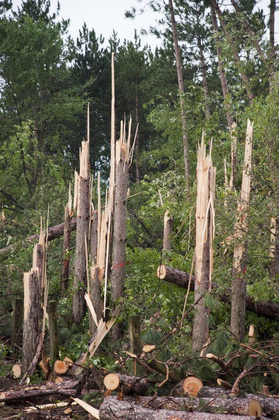 Nature Power, Trees Snapped in Half Tornado Storm Stock Photo - Image ...