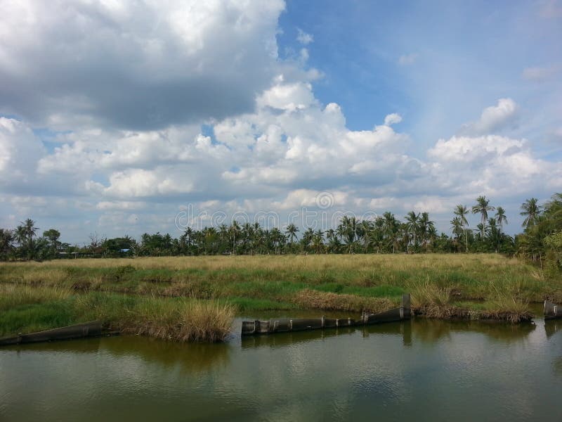 Nature stock image. Image of countryside, water, nature - 58104179