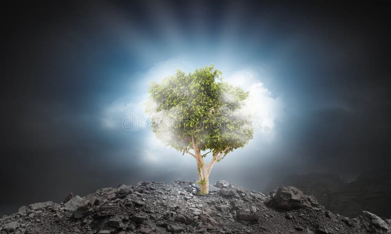 Nature protection stock photo. Image of natural, ecology - 48219450