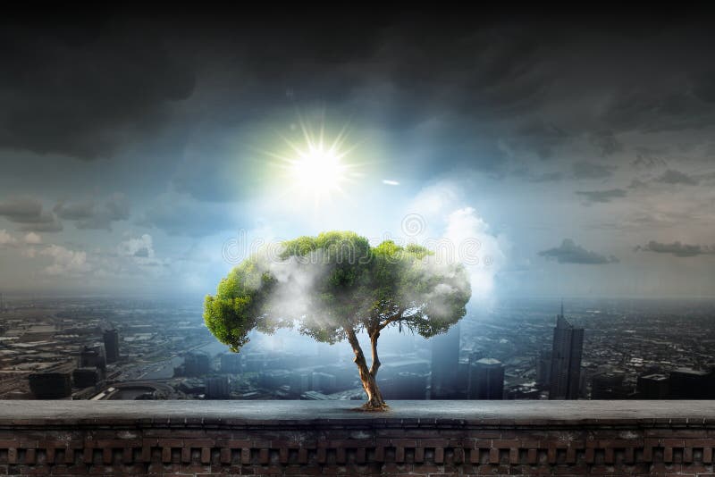 Nature protection stock photo. Image of natural, ecology - 48219450