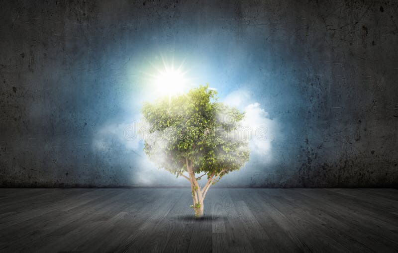 Nature protection stock image. Image of clean, green - 48625859