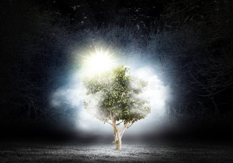 Nature protection stock image. Image of leaf, environment - 48654007