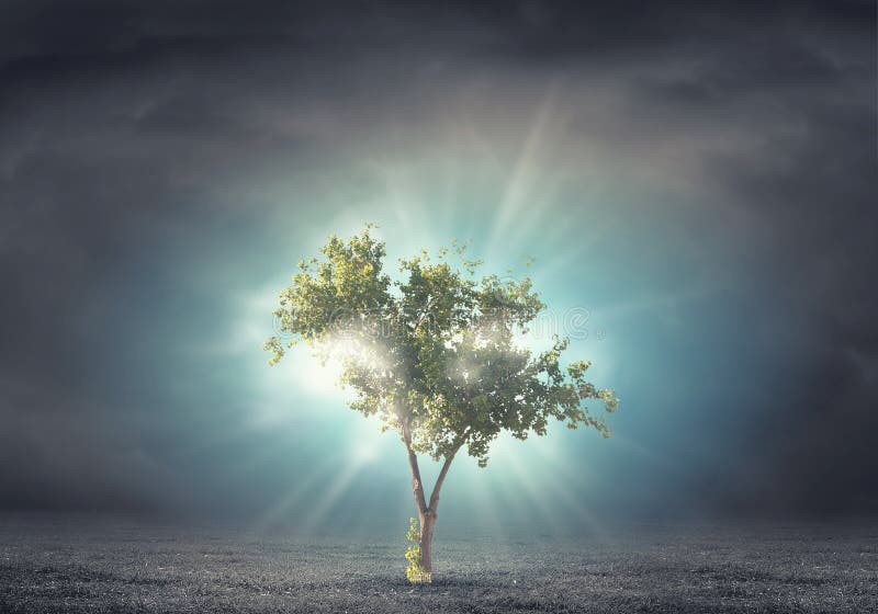 Nature protection stock photo. Image of natural, ecology - 48219450