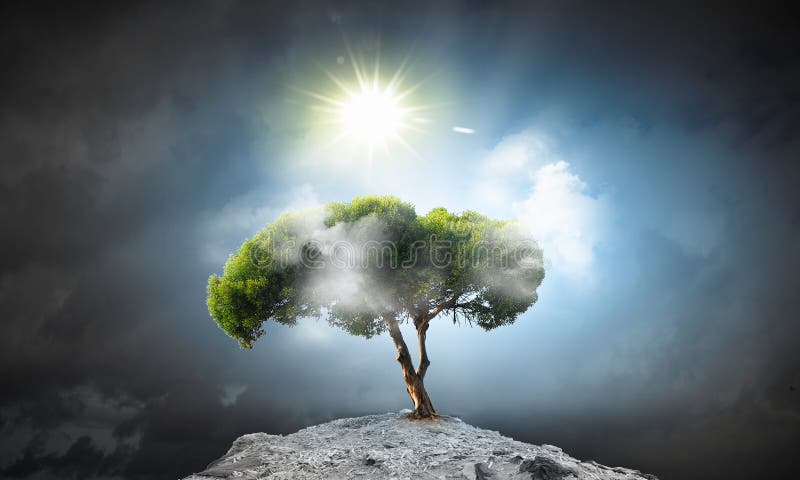 Nature protection stock photo. Image of natural, ecology - 48219450