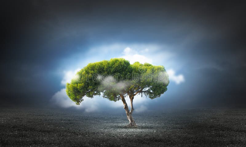 Nature protection stock photo. Image of natural, ecology - 48219450