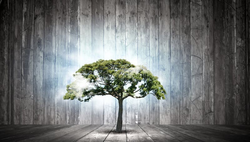 Nature protection stock photo. Image of environmental - 51627054