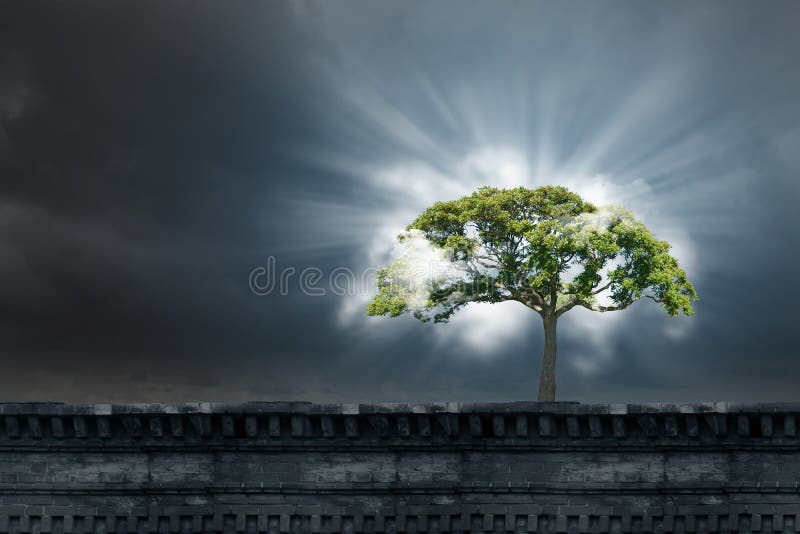 Nature protection stock photo. Image of nature, renewable - 51765514