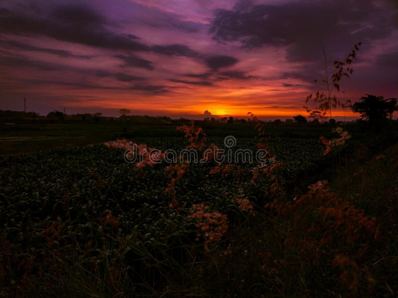 Nature Provides Beauty for Us To Enjoy Stock Image - Image of sunset ...