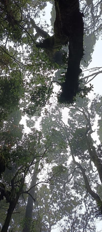 Nature Provides What we Need Stock Photo - Image of nature, small ...