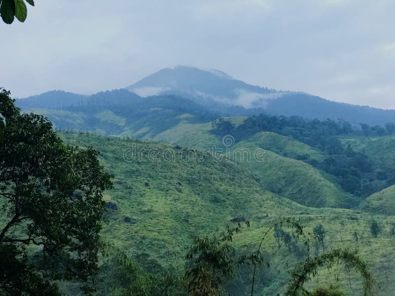 Pundak Java Stock Photos - Free & Royalty-Free Stock Photos from Dreamstime