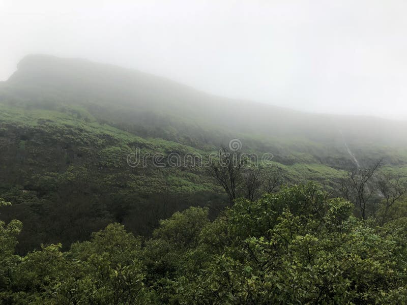 Nature stock photo. Image of india, nature, maharashtra - 125367692