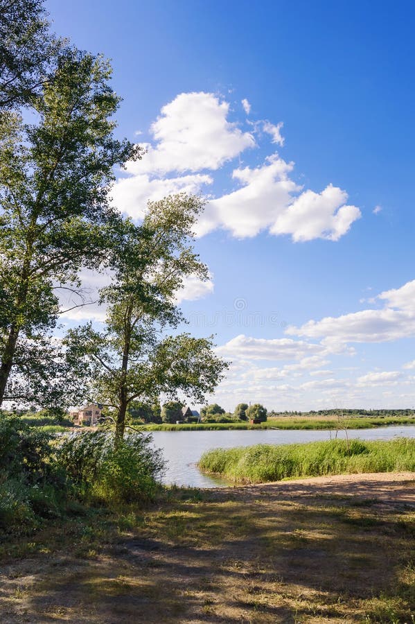 Nature Purity Grass on the River Bank Stock Image - Image of grass ...