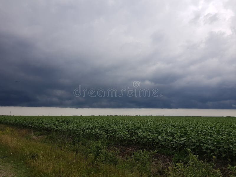 Nature before rain stock photo. Image of soil, horizon - 187340822