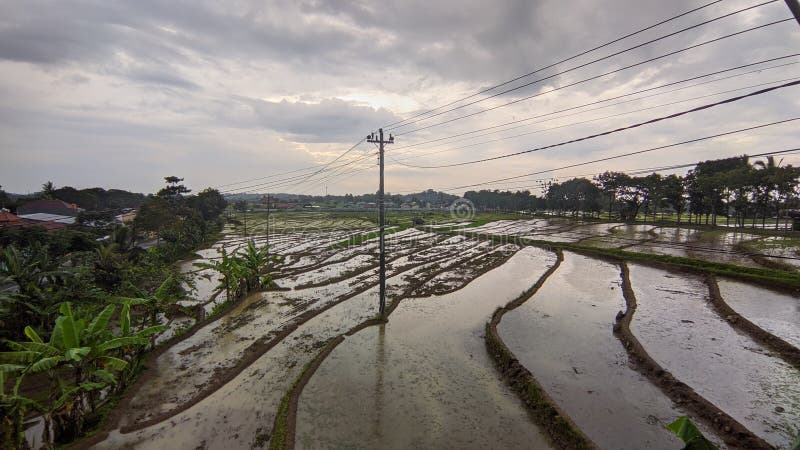 Nature after Rain and the Sky in the Sunset Cold Stock Photo - Image of ...
